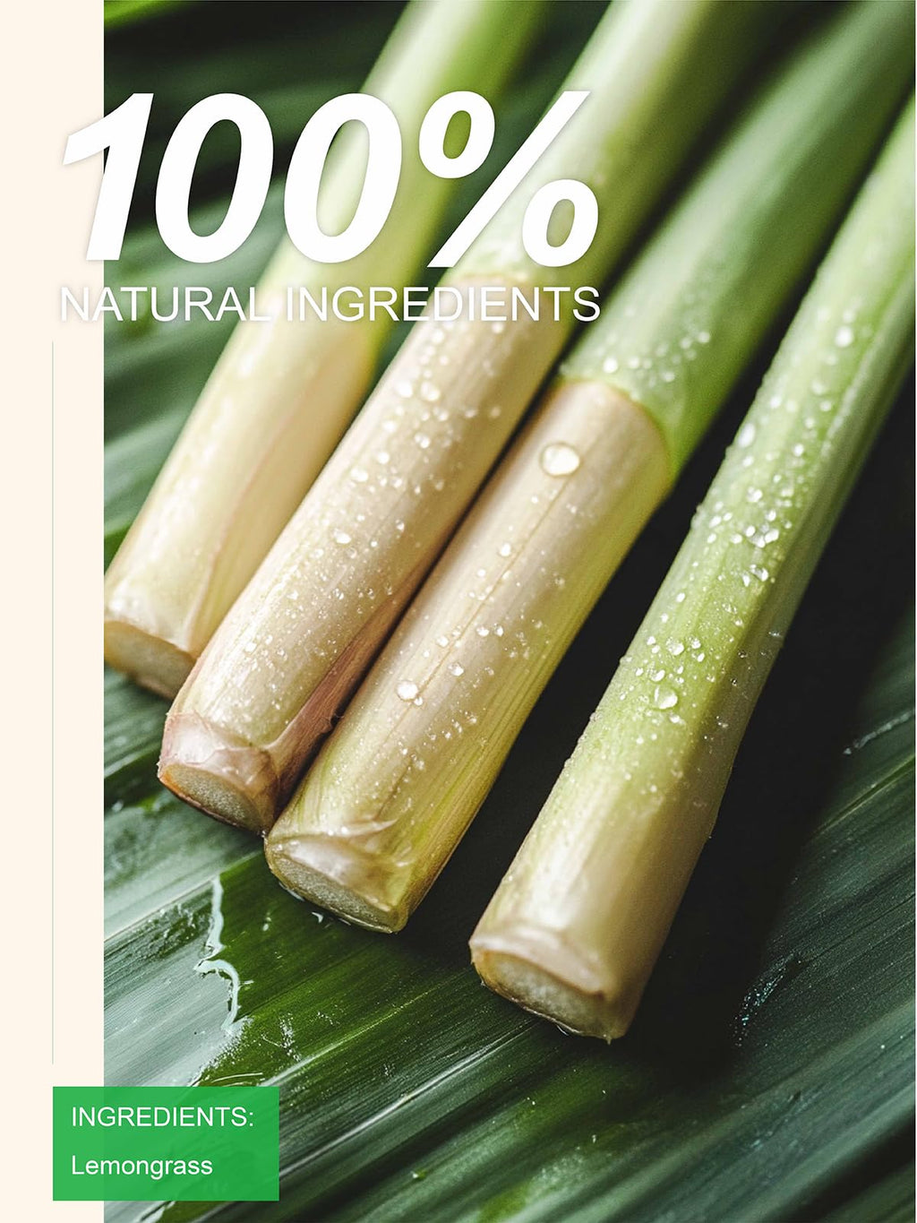 100 count lemongrass tea for detox