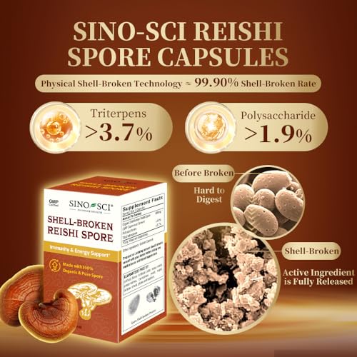 100 count mushroom spore capsules