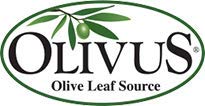 100 count olive leaf tea supply