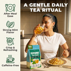 100 count peppermint leaf tea