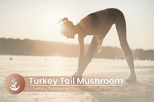 100 count turkey tail mushroom capsules