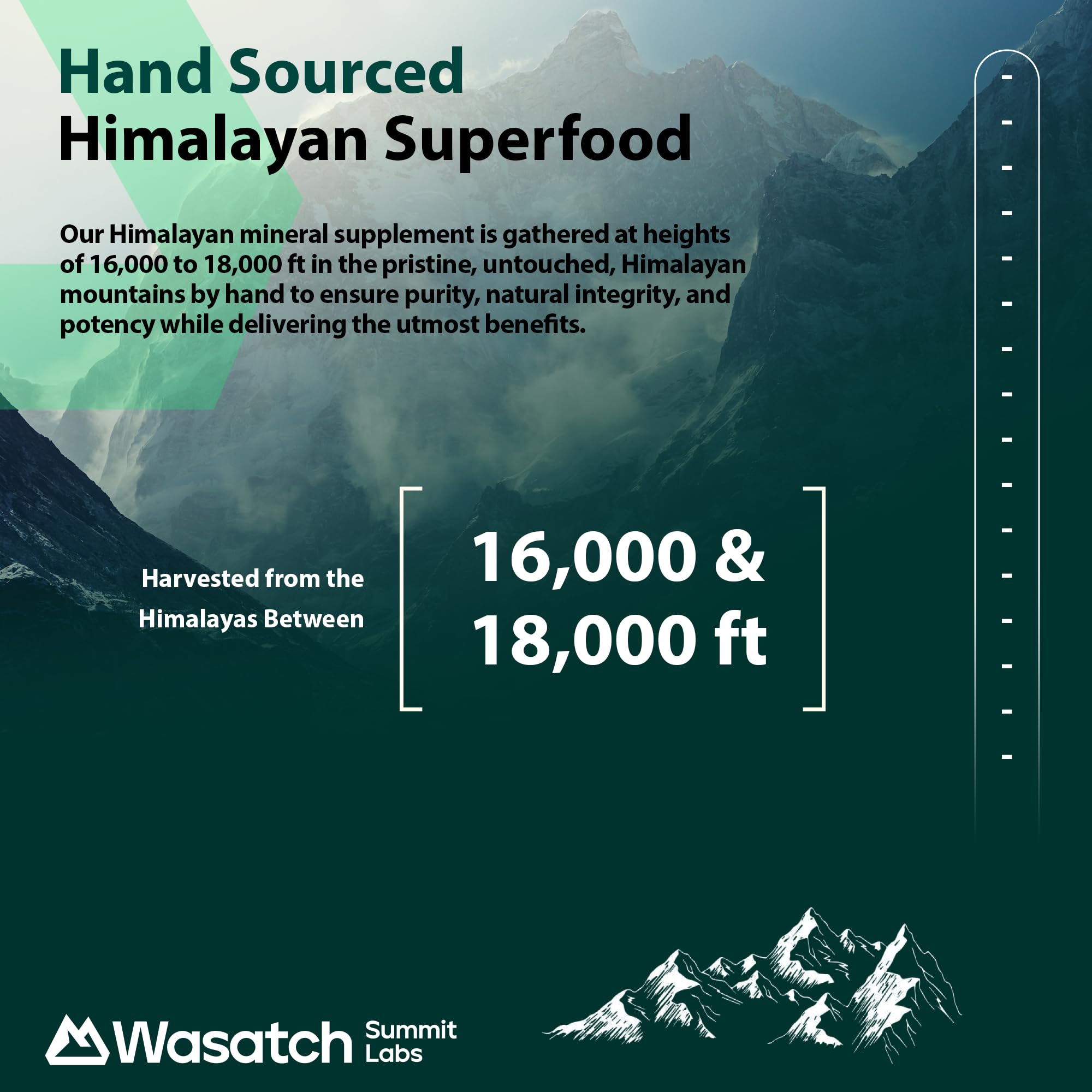 100-day supply of shilajit