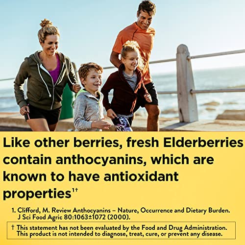 100 elderberry gummies for daily health