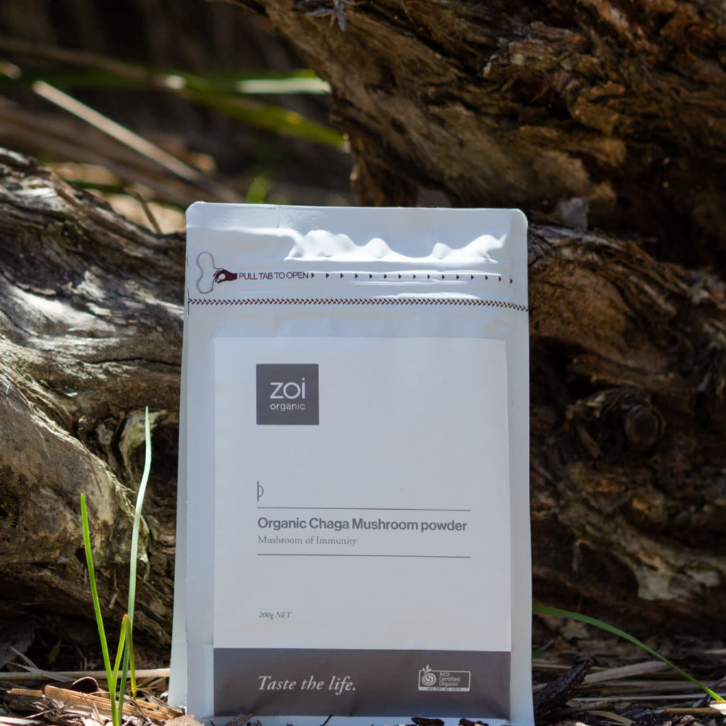 100% fruiting bodies chaga mushrooms