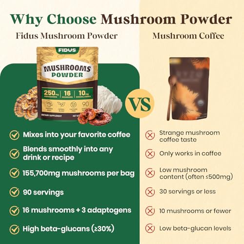 100% fruiting bodies mushroom powder