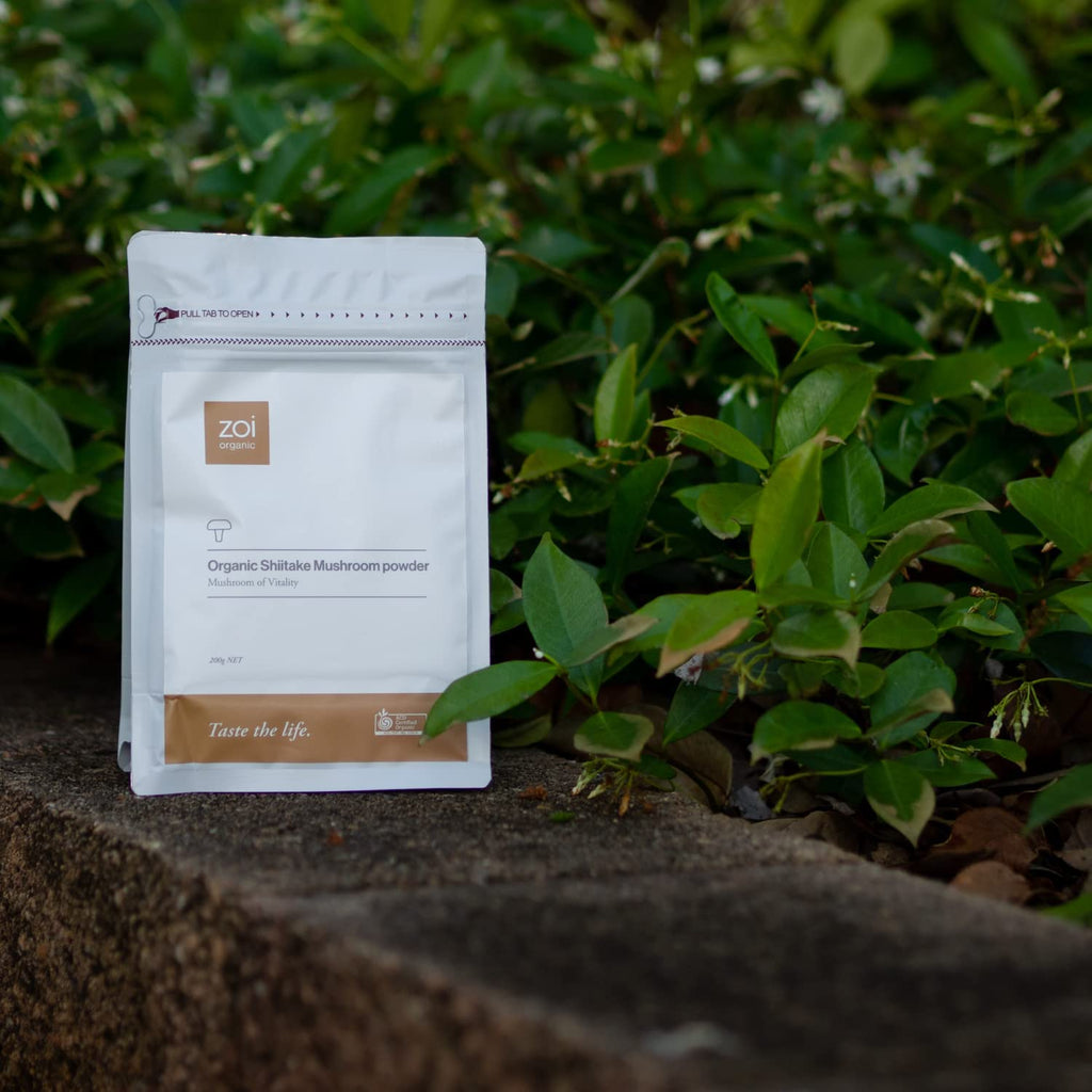100% fruiting bodies mushroom supplement