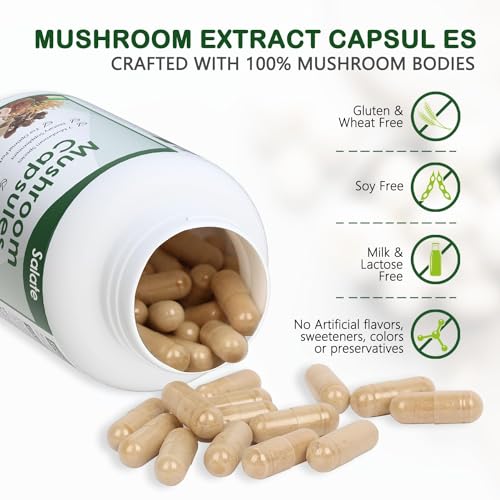 100% fruiting bodies mushroom supplement