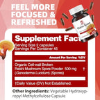 100% ganoderma lucidum supplement