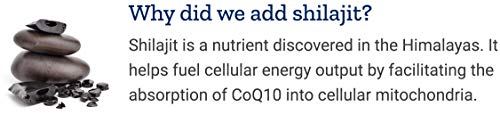 100 mg coq10 supplement