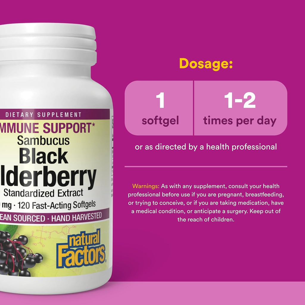 100 mg elderberry extract for wellness