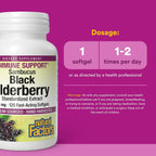 100 mg elderberry extract for wellness