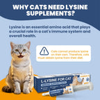 100 mg L-Lysine for healthy cats