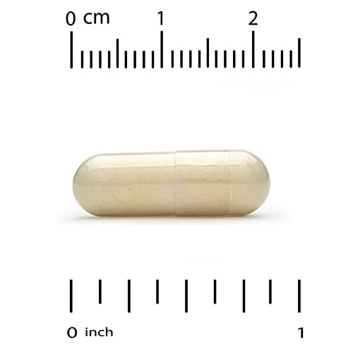 100 mg pine bark extract dosage