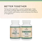 100 mg Tongkat Ali capsules for energy