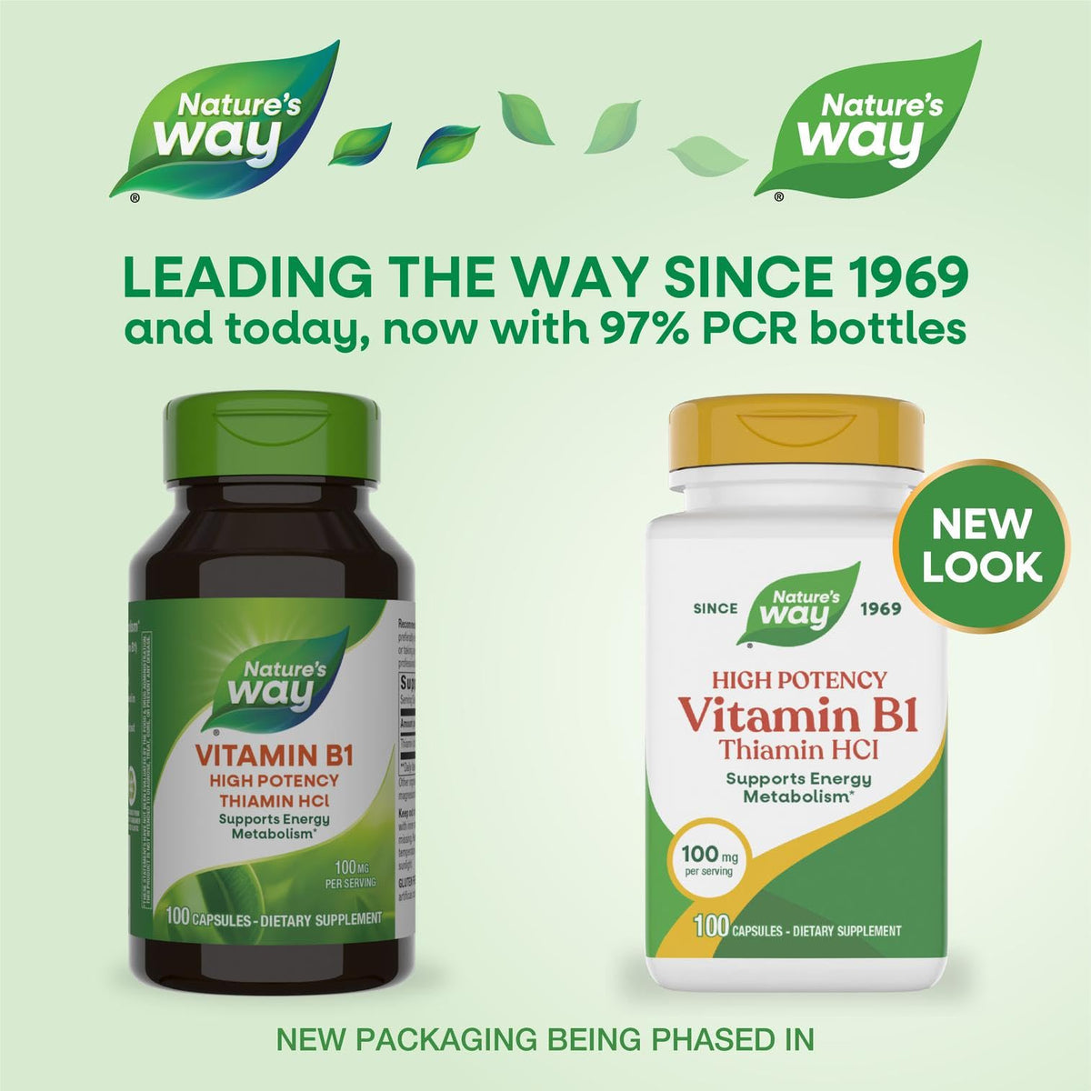 100 mg Vitamin B1 supplement