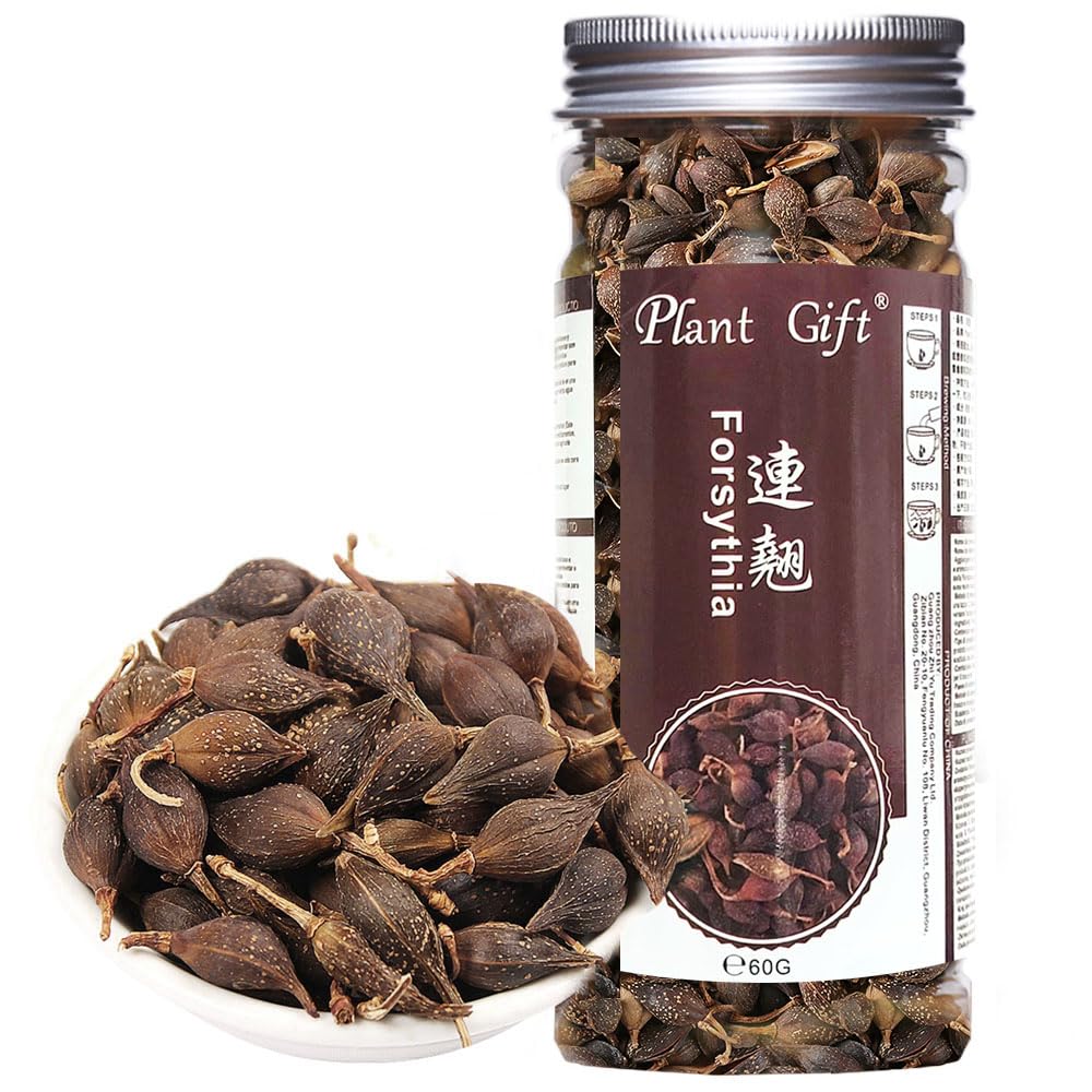 100% natural forsythia herbal tea