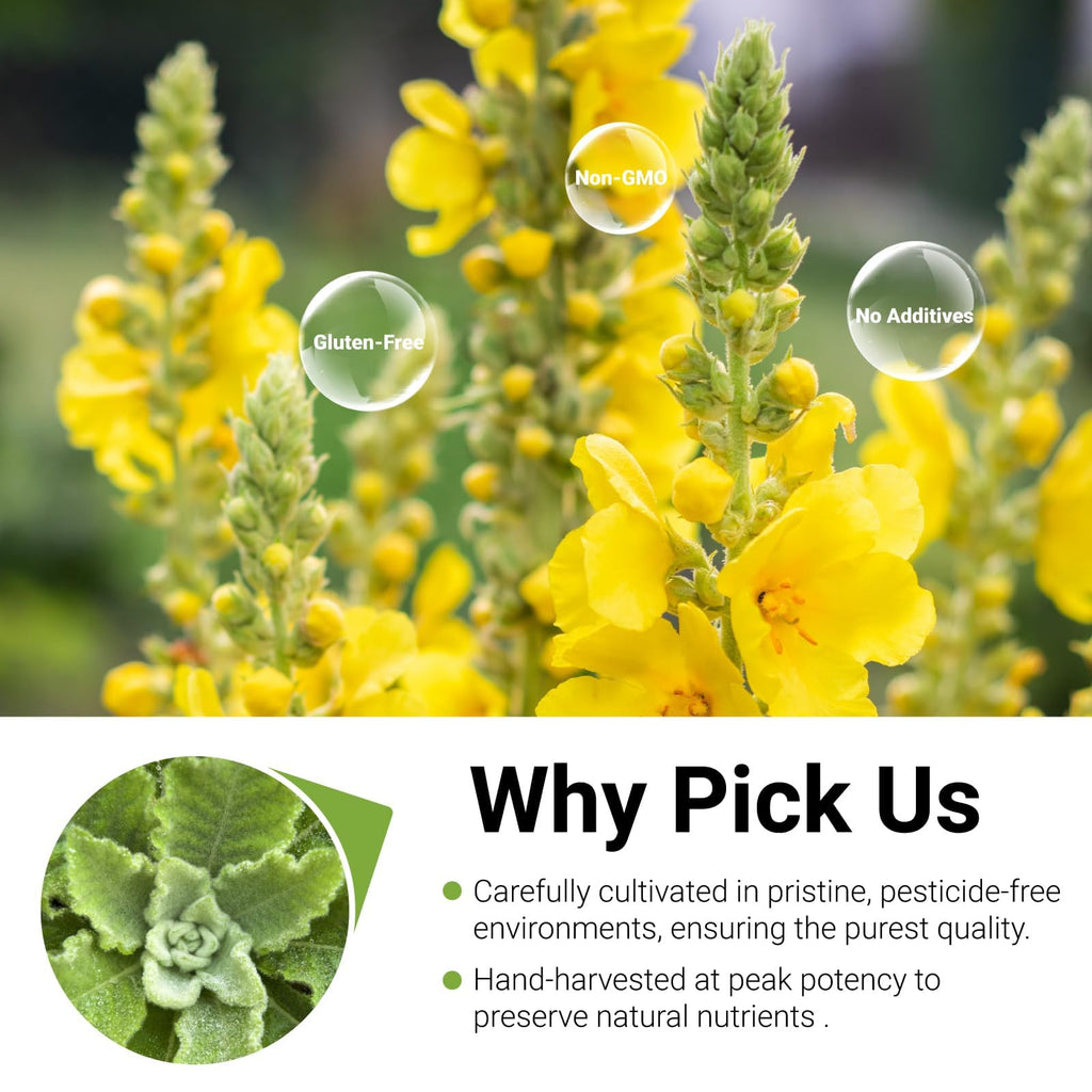 100% natural mullein leaves