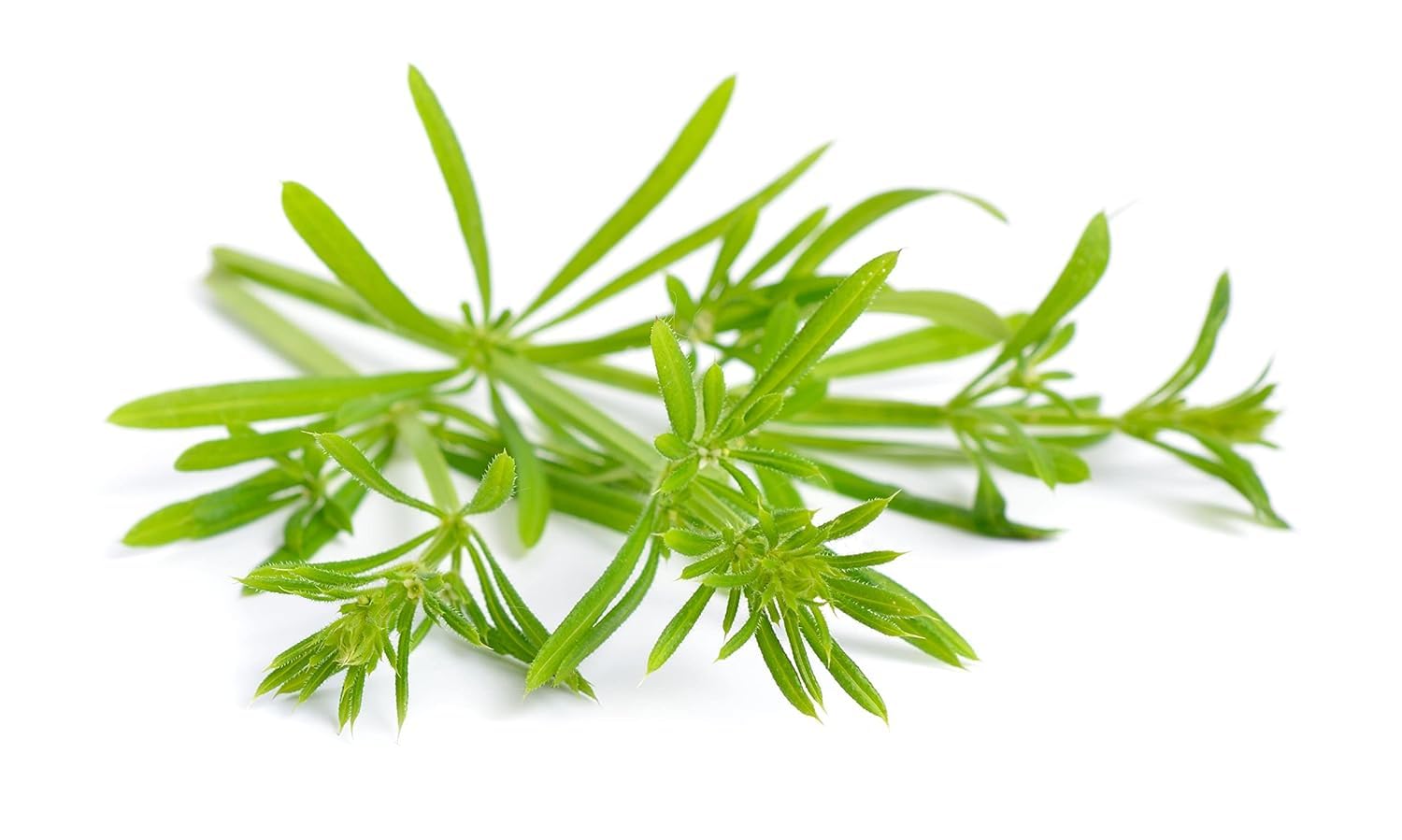 100% Nature herbal tea infusion