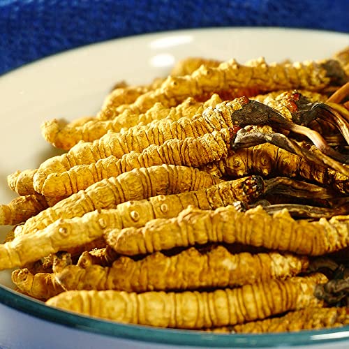 100% organic cordyceps mushrooms benefits