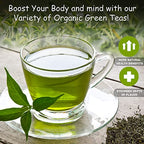 100% organic green tea bags