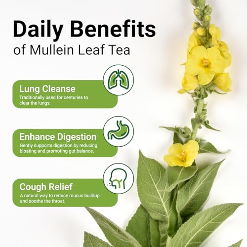 100% organic mullein herbal tea