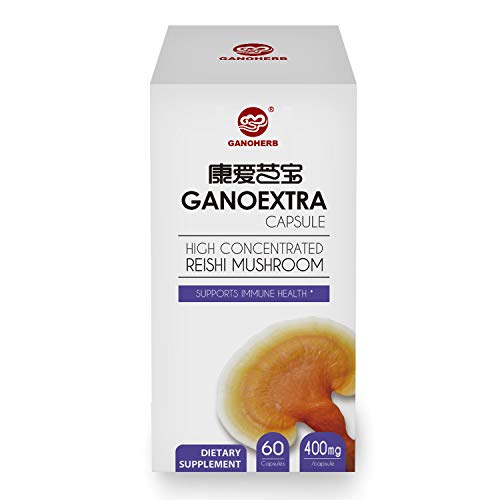 100% organic mushroom extract