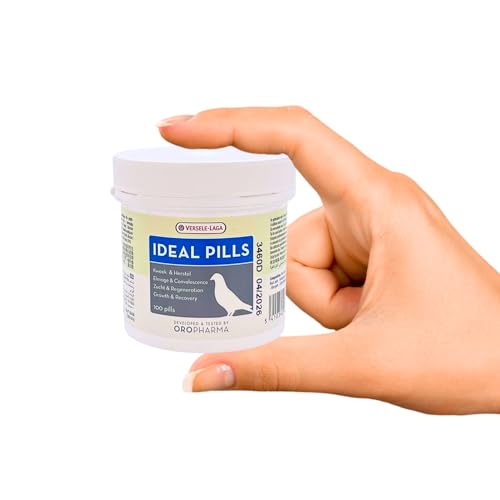 100 pcs of health-boosting vitamins