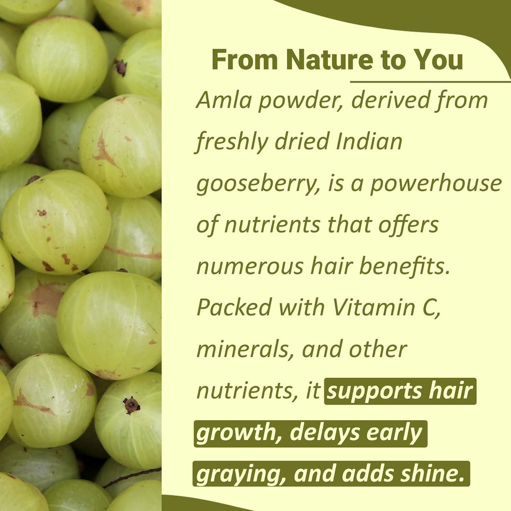 100% pure Amla powder for immunity