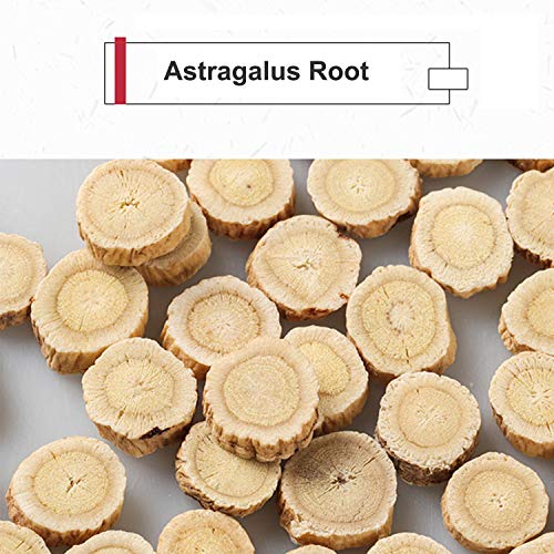 100% pure astragalus root benefits