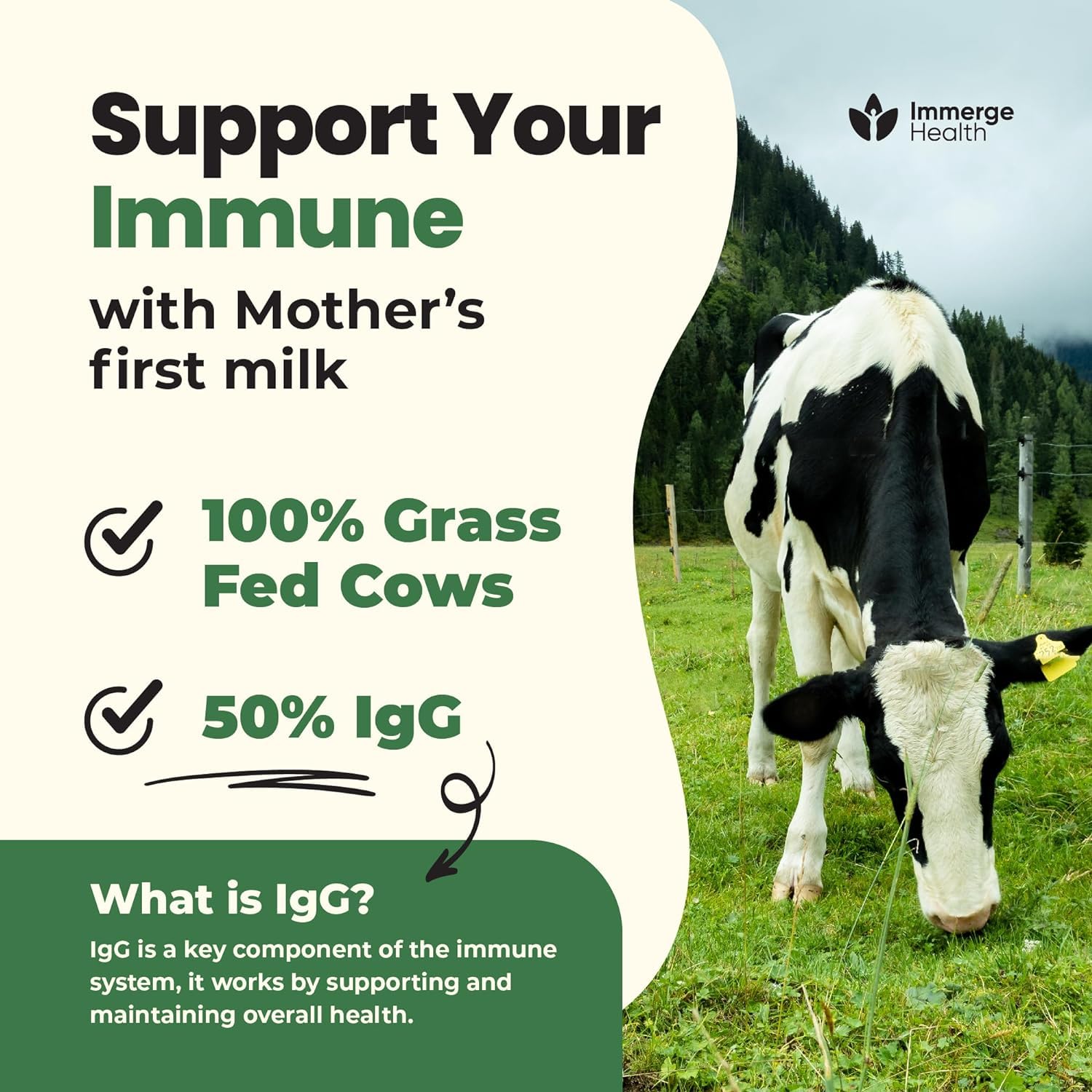 100% pure bovine colostrum quality