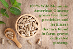 100% pure ginseng for vitality
