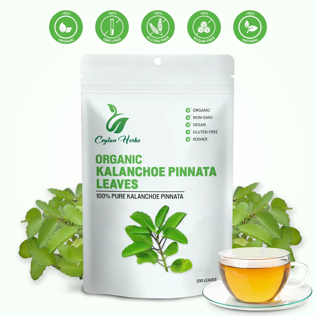 100% pure Kalanchoe Pinnata benefits
