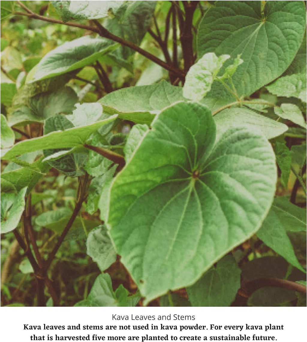 100% pure kava kava from Fiji