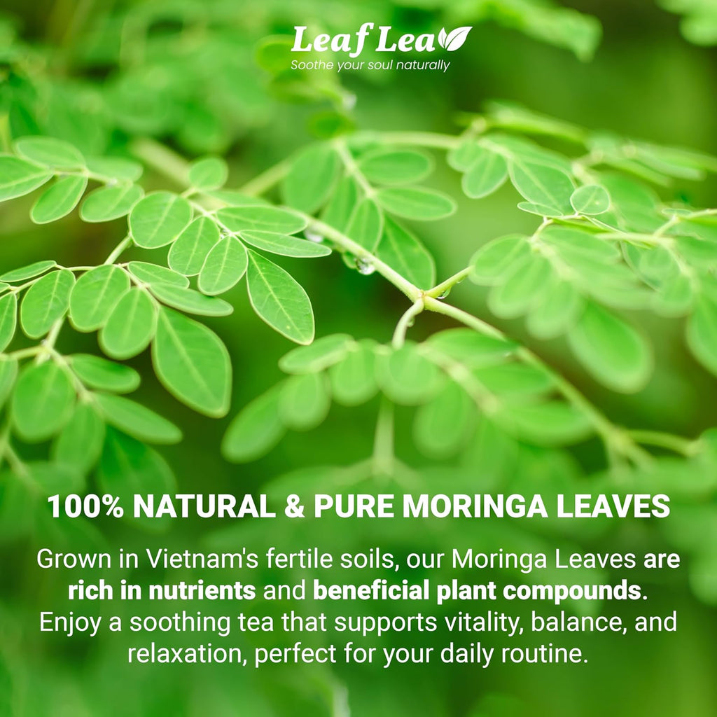 100% pure moringa leaf tea