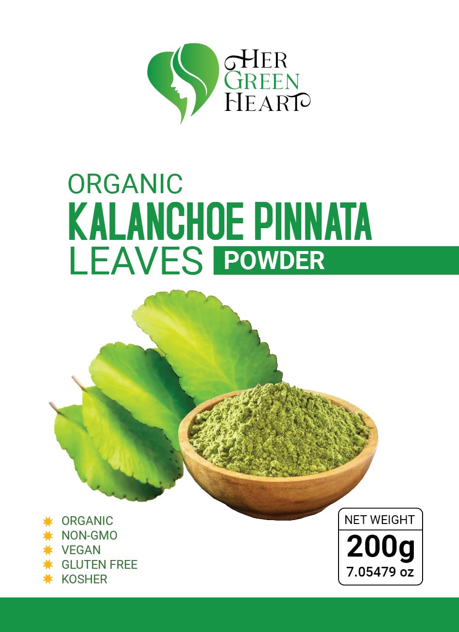 100% pure organic Kalanchoe powder benefits