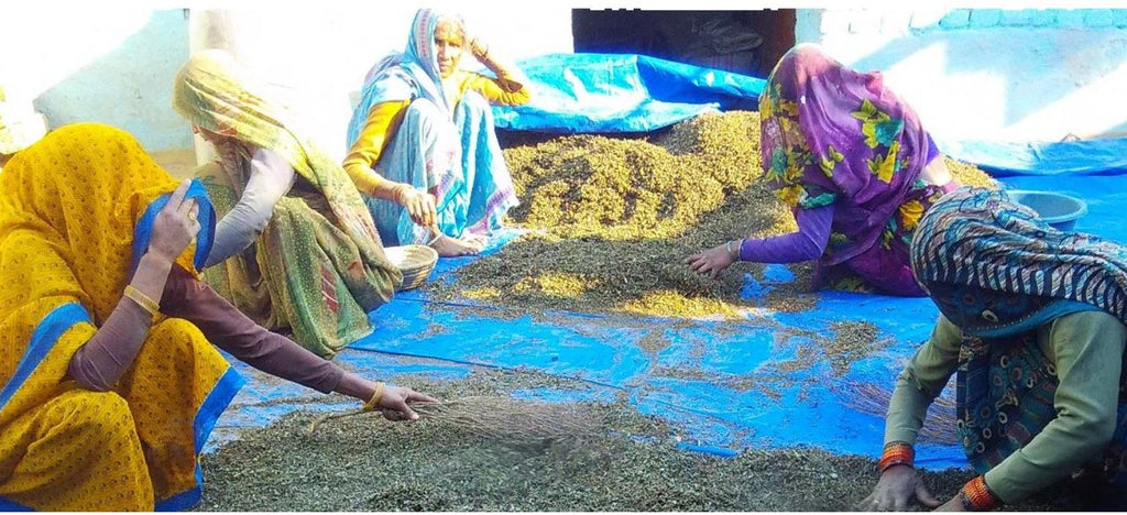 100% pure shatavari powder uses