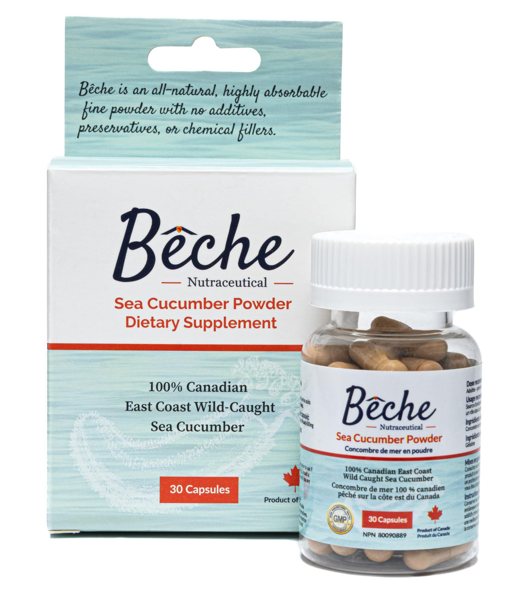 100% sea cucumber powder capsules