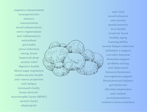 100 servings of brain-boosting vitamins