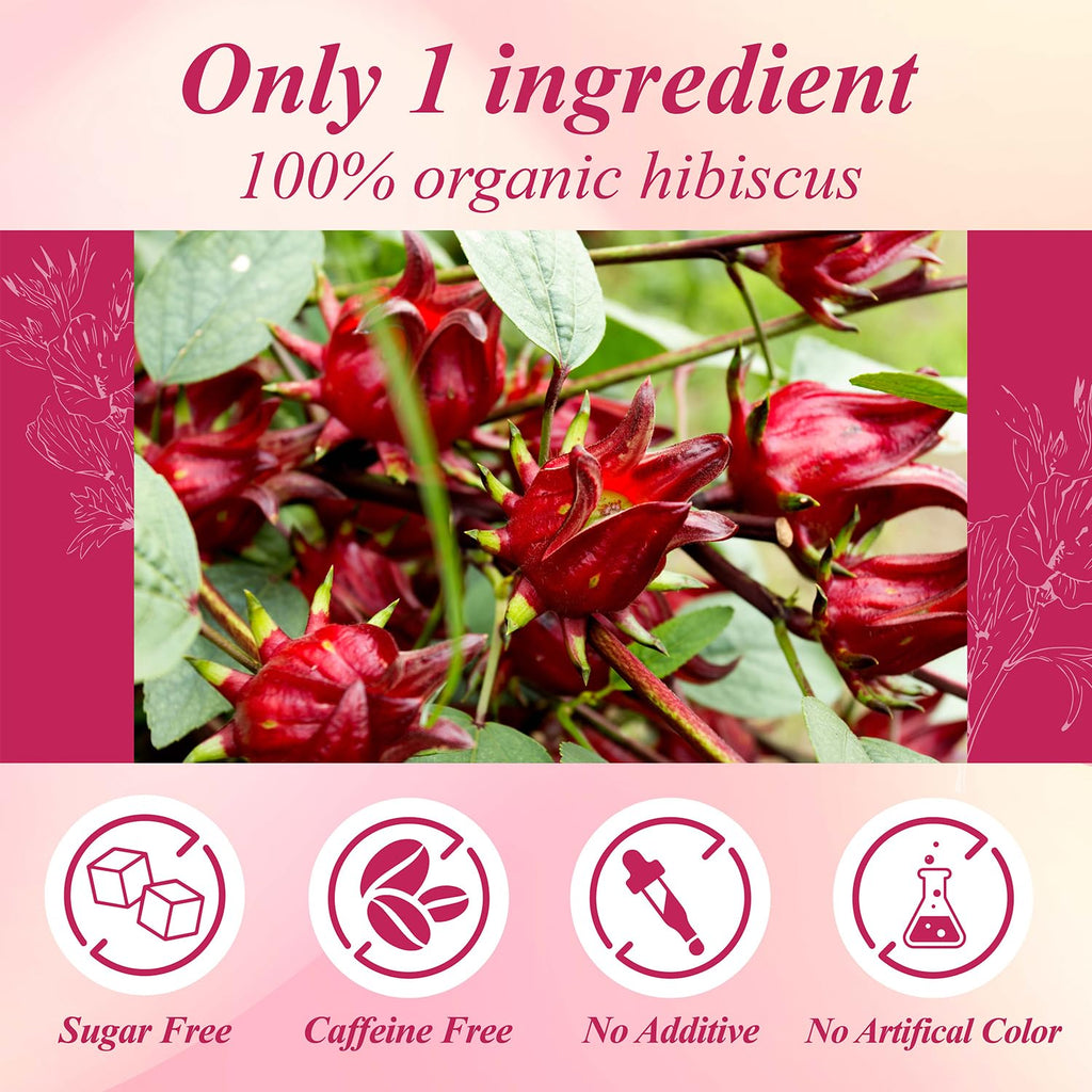 100 tea bags of hibiscus goodness