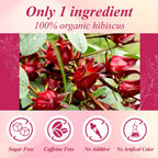 100 tea bags of hibiscus goodness
