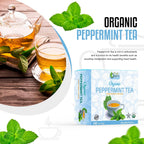 100 tea bags of peppermint goodness
