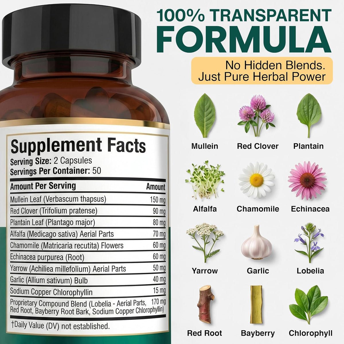 100 vegan capsules for lymph health