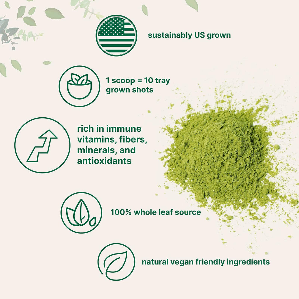 100% whole-leaf wheatgrass powder benefits