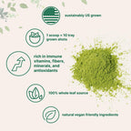 100% whole-leaf wheatgrass powder benefits