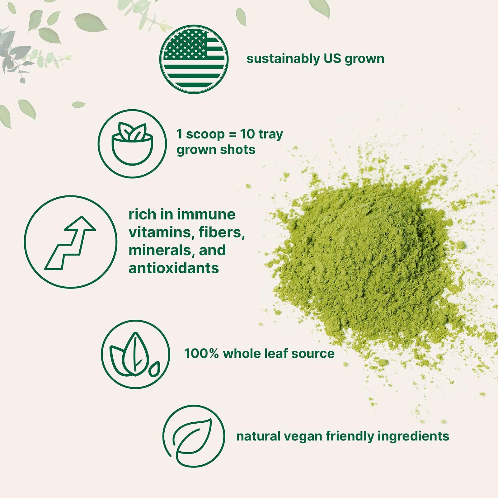 100% whole-leaf wheatgrass powder benefits