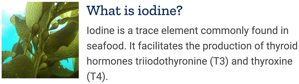 1000 mcg iodine for daily wellness