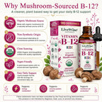 1000 mcg vitamin B12 supplement