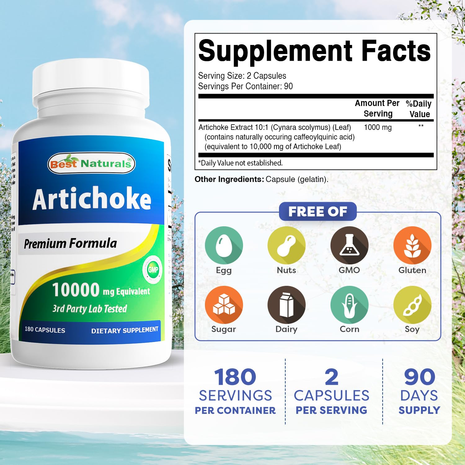1000 mg artichoke health supplement