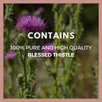 1000 mg Blessed Thistle dosage