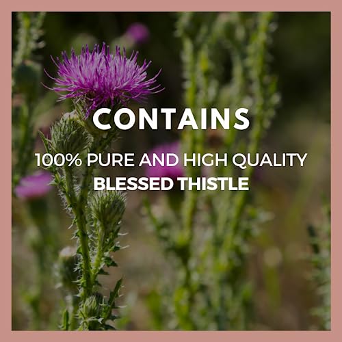 1000 mg Blessed Thistle dosage